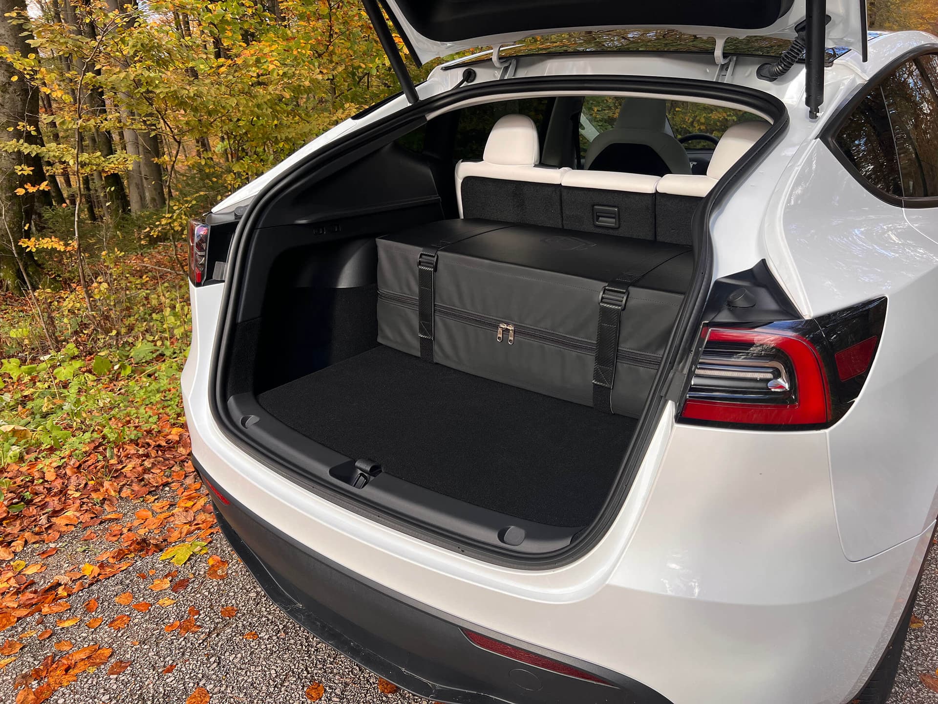 Premium Tesla model Y bed | DreamCase